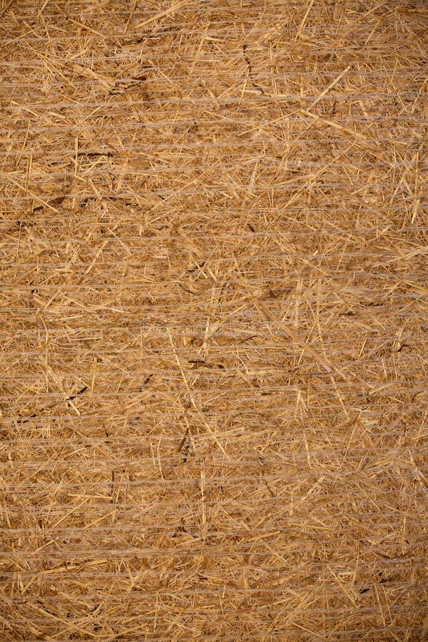 Hay bale side view stock image. Image of straw, gold - 40392939