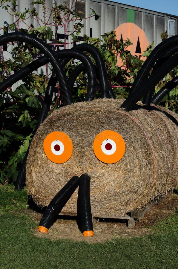 Hay bale spider stock image. Image of farm, fall, halloween - 28003709