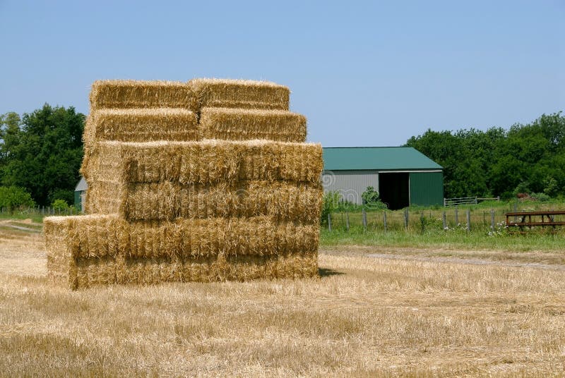 Interior of Barn with Hay Bales Stock Photo - Image of food, hayloft ...