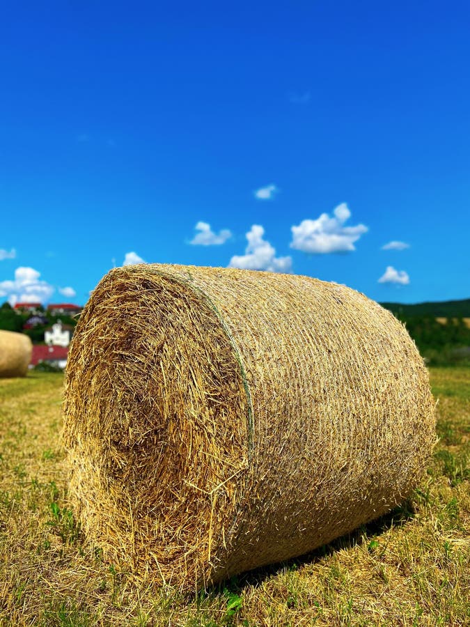 Hay Bale Stack on the Field after Harvest with Blue Sky Stock Photo ...