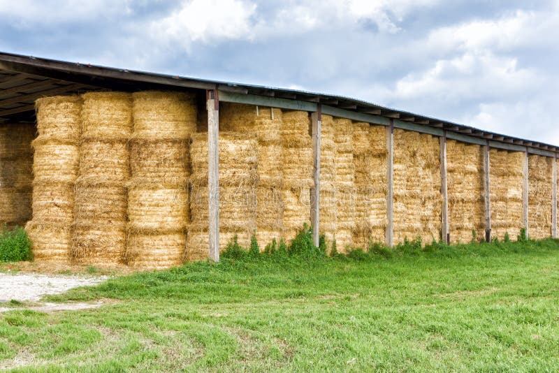 Hay bale stacked in barn stock image. Image of nature - 26867373