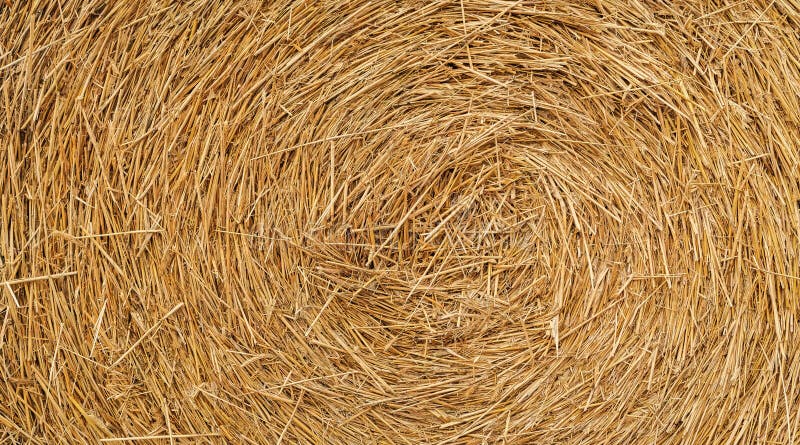 Hay Bale is Stacked in Large Stack. Rural Autumn with Hay. Straw Summer ...