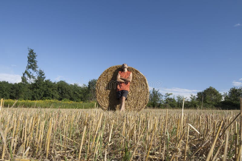 Hay bale standing man stock image. Image of outdoor, handsome - 25856349