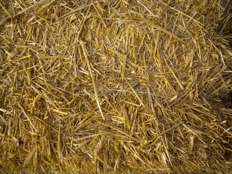 Hay bale stock image. Image of agriculture, yellow, bale - 46002797