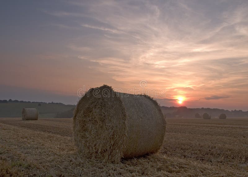 Hay bale in the sunset stock photo. Image of evening - 98108864