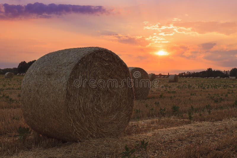 Hay bale at sunset stock image. Image of natural, agriculture - 36538339