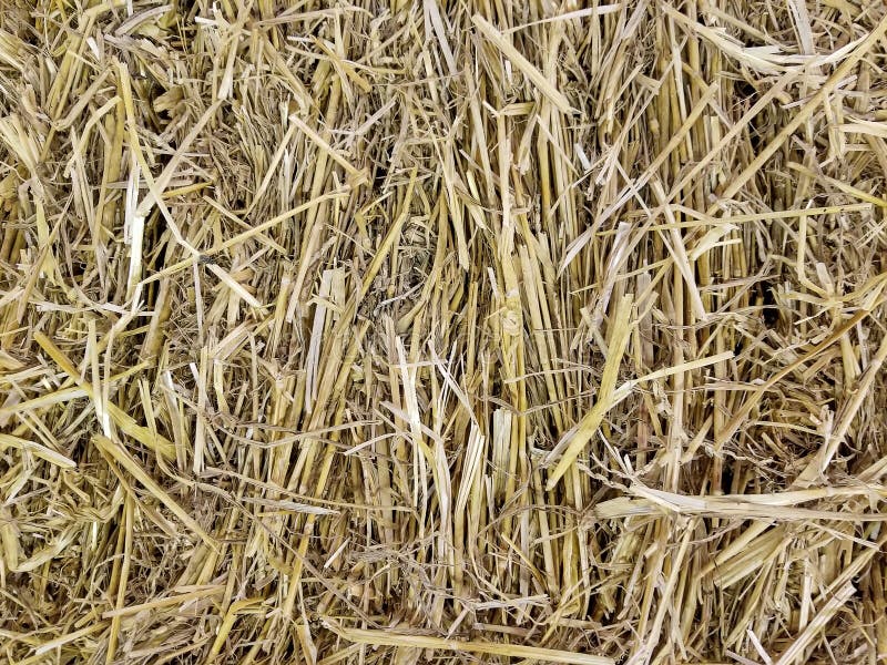 Hay Bale Texture Background Stock Photo - Image of crop, harvest: 122219286