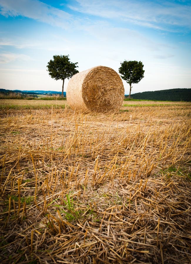 Hay Bale and Trees stock image. Image of farmland, bale - 24464069