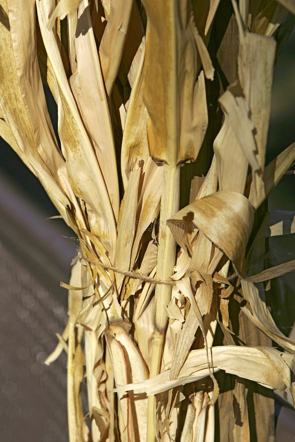 Hay baled stock image. Image of seasonal, ornament, farm - 7996337