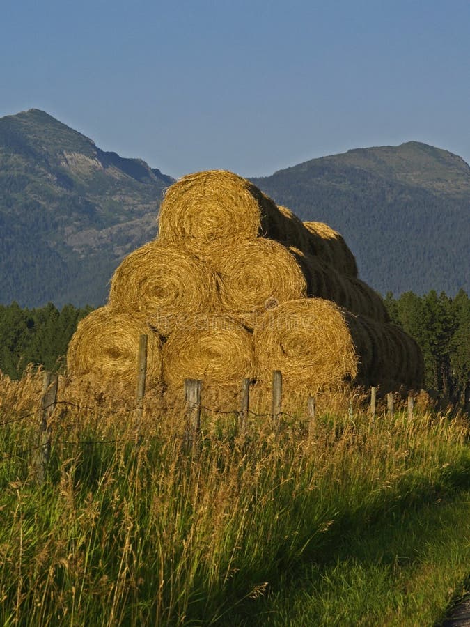 Triangular Barbed Wire Png Stock Photos - Free & Royalty-Free Stock ...