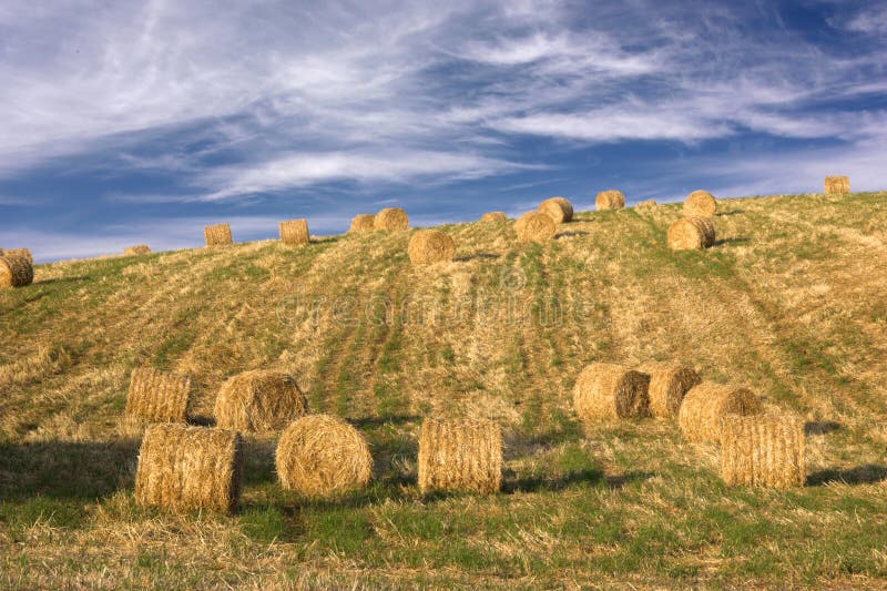 Hay bales stock image. Image of color, barley, stack, bales - 1414045