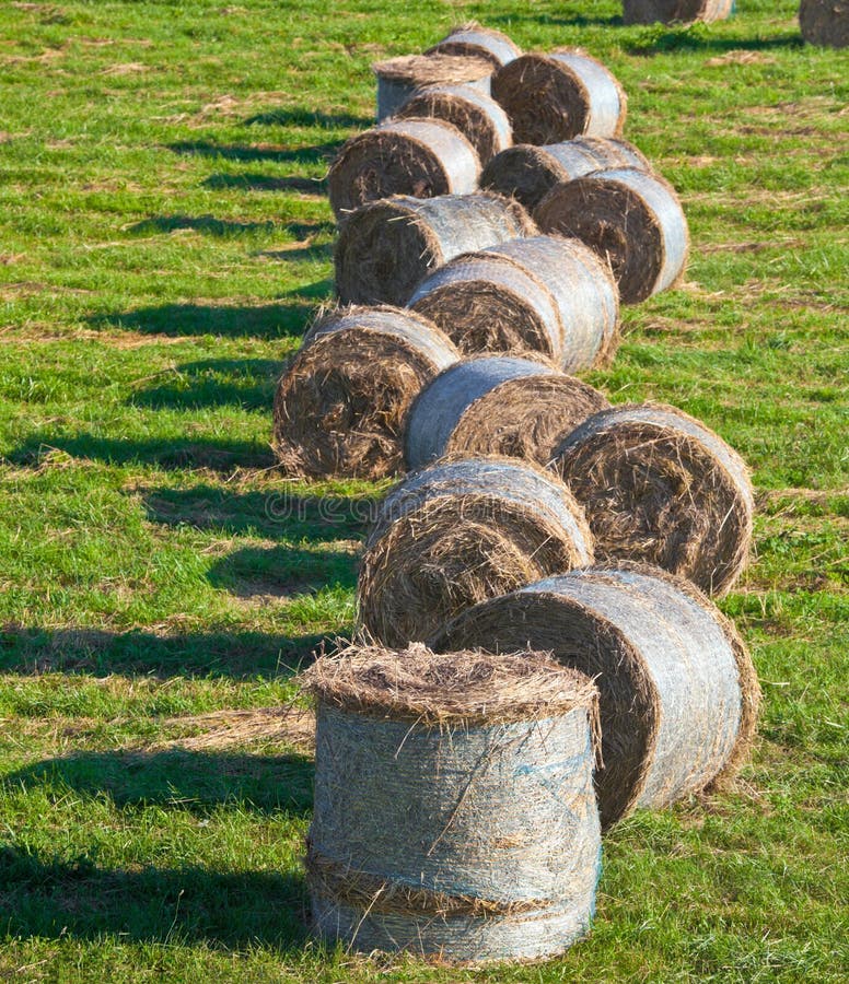 Hay bales stock image. Image of nature, agriculture, field - 17695667