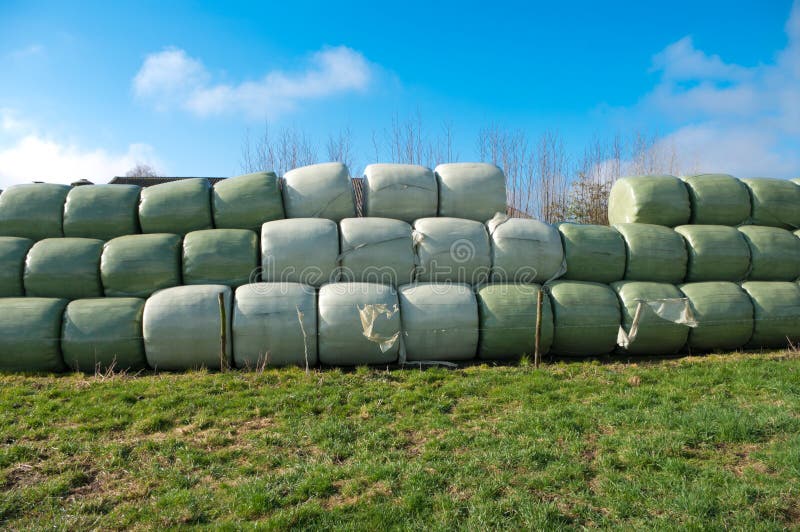 Plastic wrapped hay bales stock image. Image of fermenting - 95243841