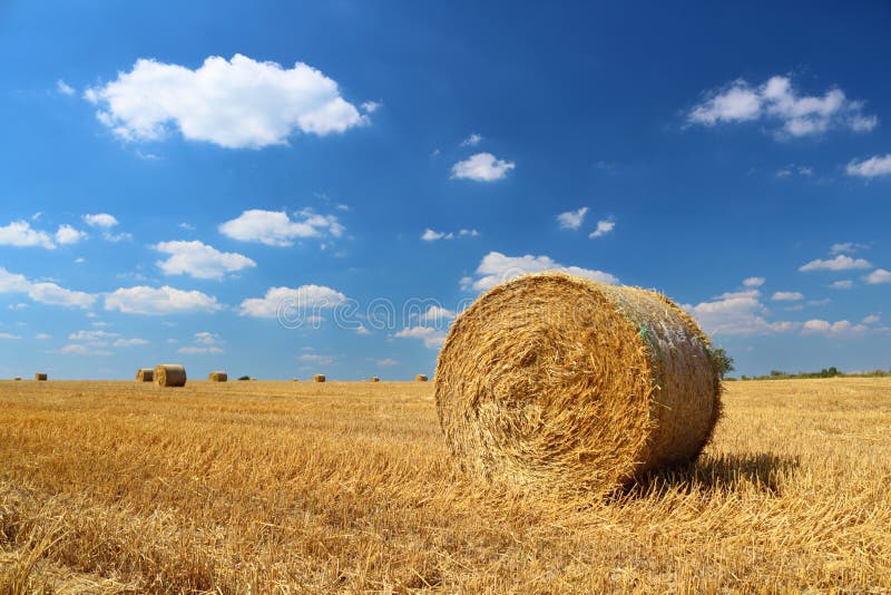 Hay bales stock image. Image of farms, farmland, agriculture - 26707701