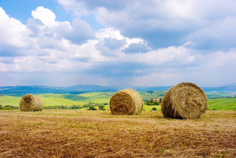 Hay Bales stock image. Image of land, farm, gold, grow - 2708359
