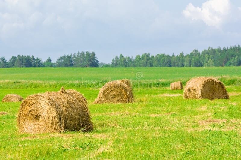 Hay bales stock image. Image of swathe, grass, farming - 2719887