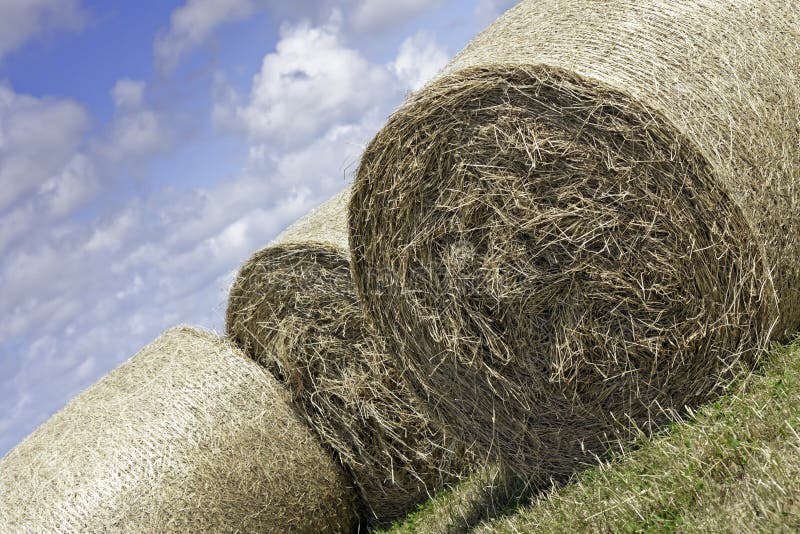 Hay Bales stock image. Image of field, electricity, farming - 27316495