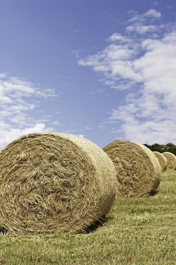 Hay Bales stock image. Image of bales, energy, beauty - 27316497