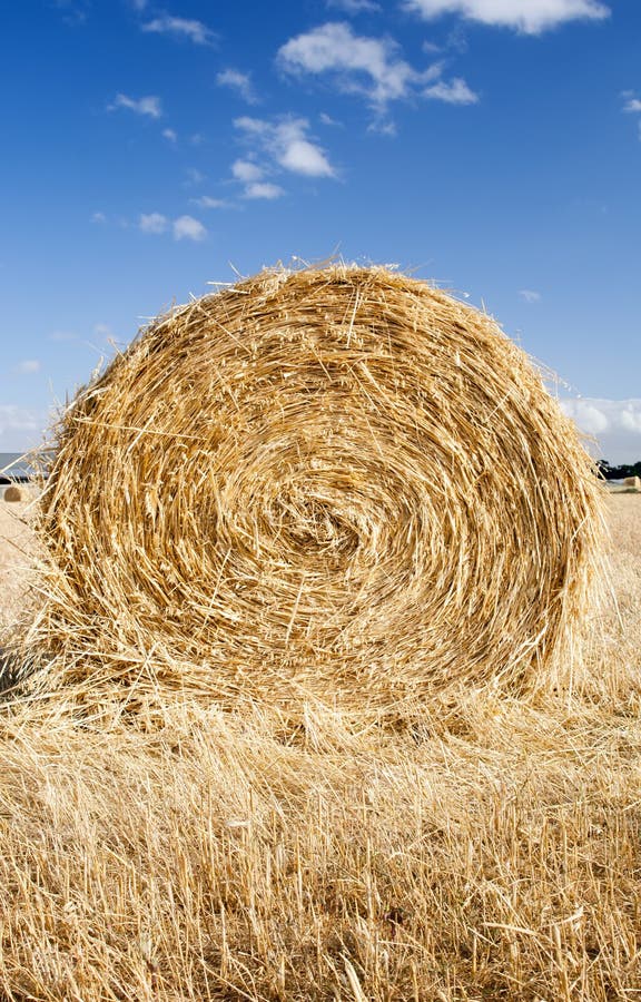 Hay Bales stock photo. Image of landscape, outdoor, nature - 28798960