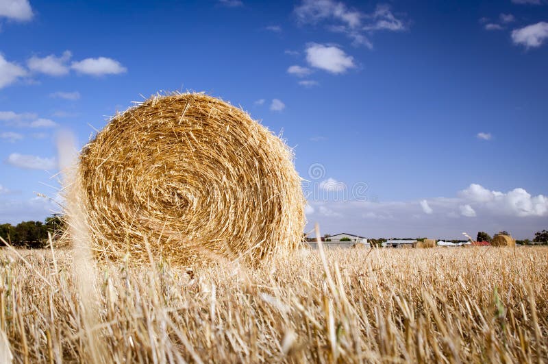 Hay Bales stock photo. Image of landscape, outdoor, nature - 28798960