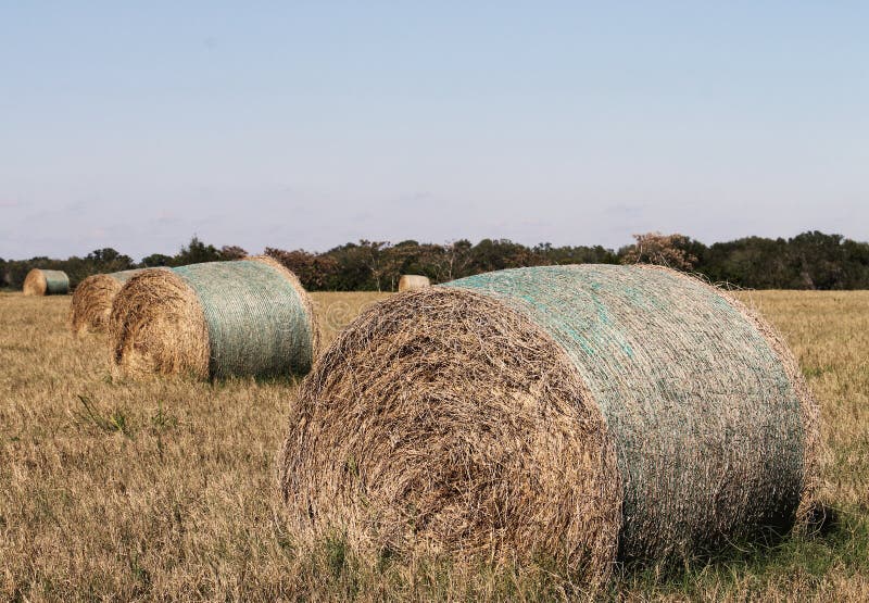 Hay bales stock photo. Image of grass, construction, rolled - 28886562