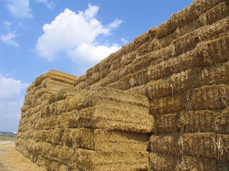 Hay bales 3 stock photo. Image of summer, shadows, bales - 48940