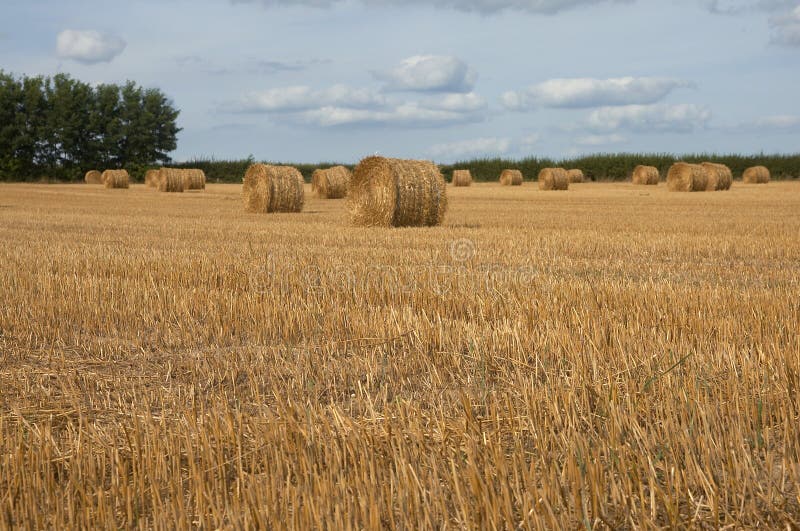 Hay Bales Picture. Image: 6775386