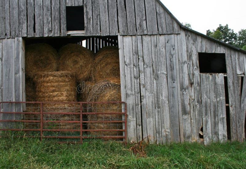 Hay Bales in Barn stock photo. Image of farm, feed, agriculture - 33811906