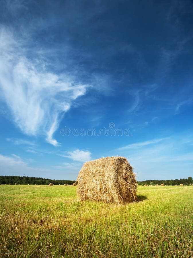 Hay bales with blue sky stock image. Image of farmland - 56511385