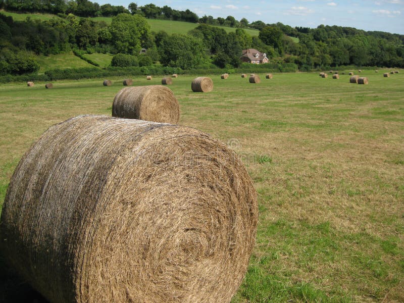 Hay Bales in English Field 1 Stock Image - Image of bales, field: 11960111
