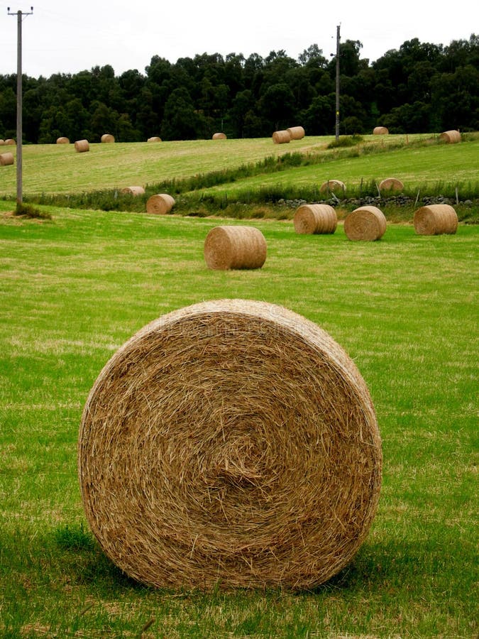 Hay Bales in a Field in the South Downs on a Hot Summer S Evening Stock ...