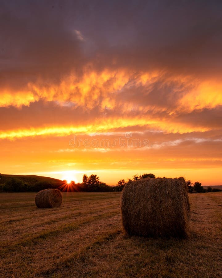 Hay Bales In A Field At Sunset Stock Photo - Image of scenery, haystack ...