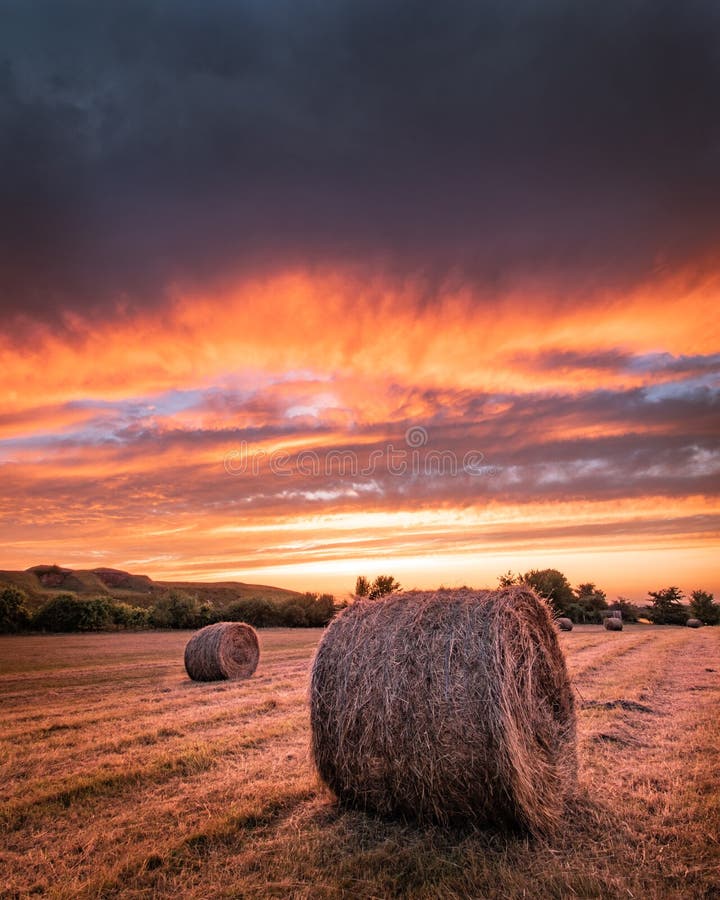 Hay Bales in a Field at Sunset Stock Image - Image of storm, close ...