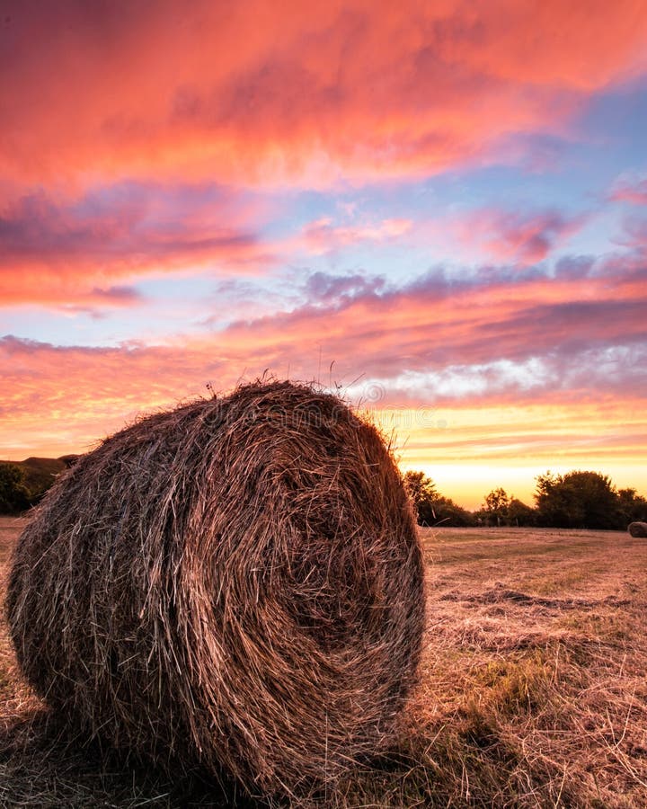 4,346 Hay Bales Field Sunset Photos - Free & Royalty-Free Stock Photos ...