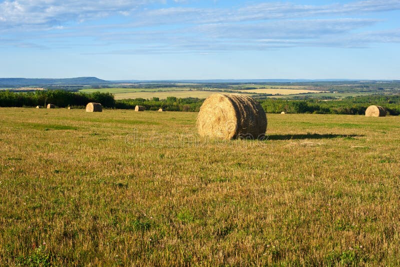 Hay Bales and Fields in Fall Stock Image - Image of grain, morning ...