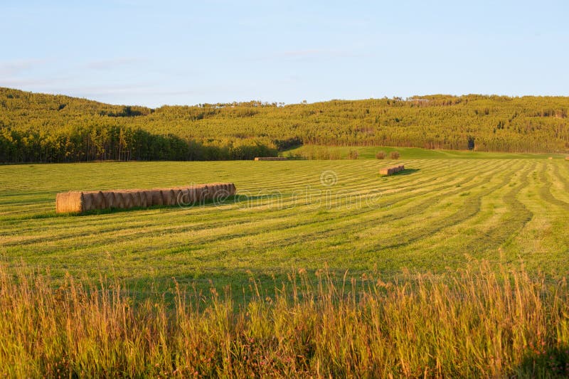 Hay Bales and Fields in Fall Stock Image - Image of round, field: 31193187