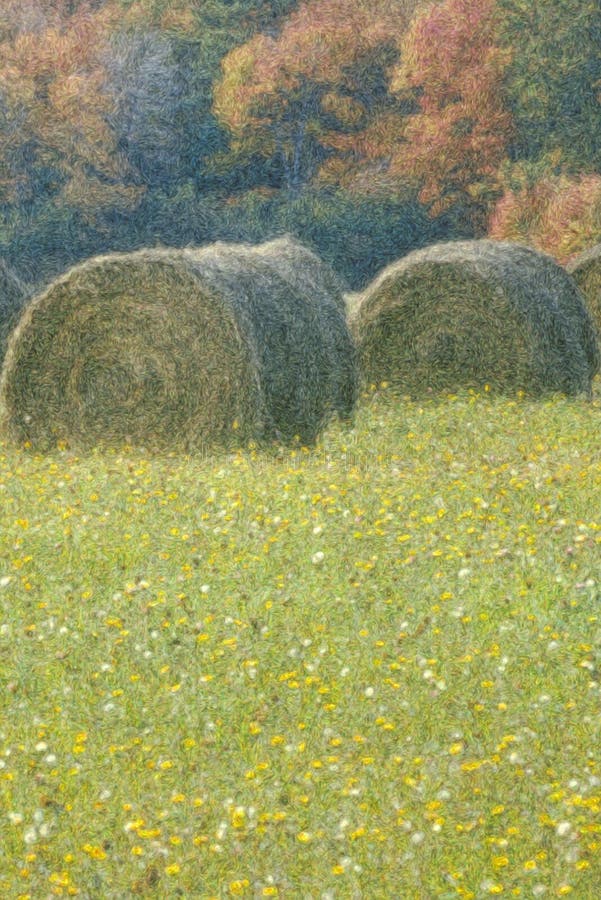 Hay Bales in Flower Field stock image. Image of features - 23147875