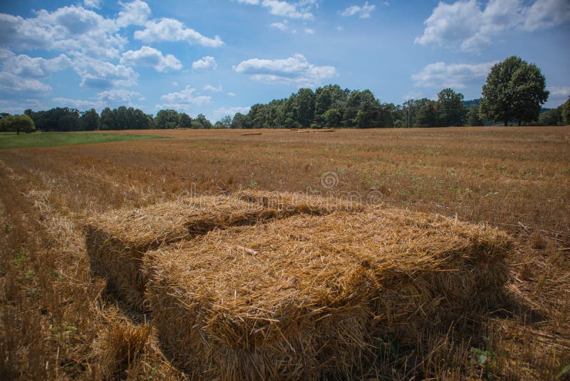 Close-up of Hay Bales in a Village. Dry Hay Stacks in Rural Scene ...