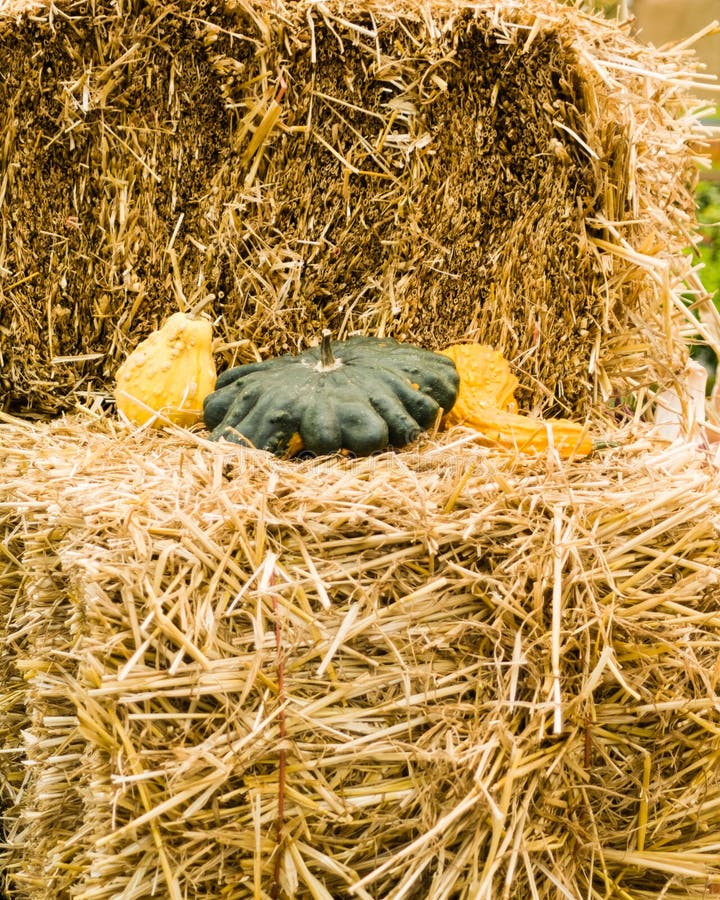 Hay Bales with Gourds Display Stock Image - Image of stack, harvest ...