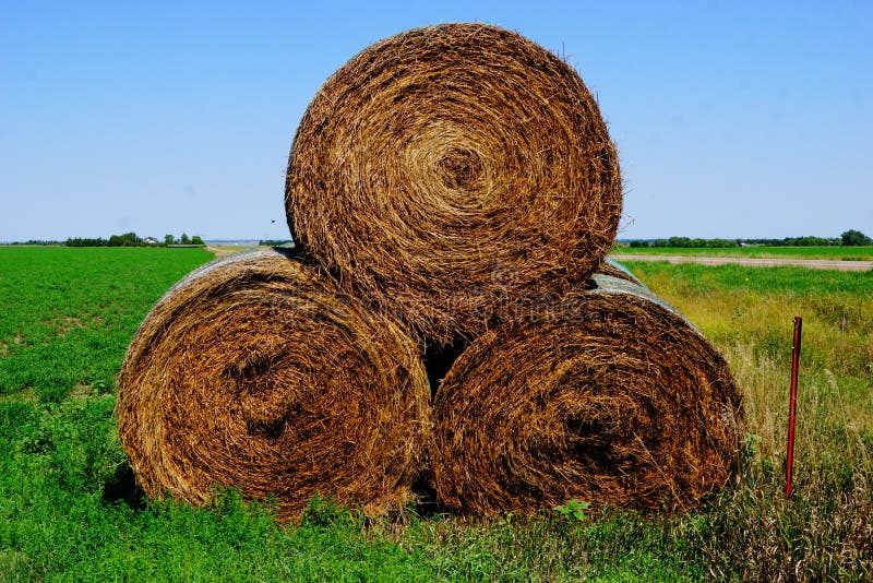Hay bales in Iowa stock image. Image of large, nature - 99103161