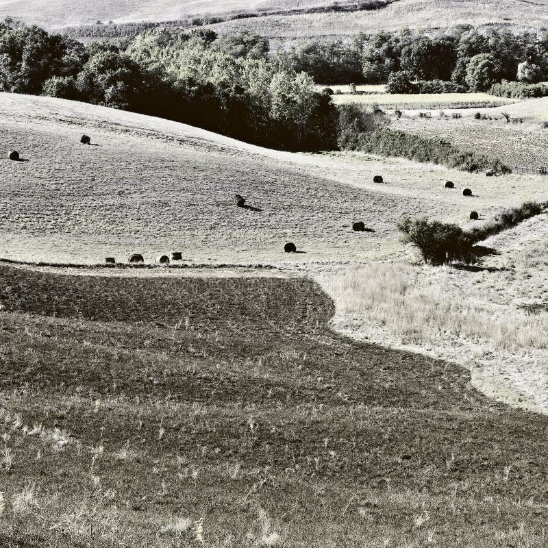 143 Straw Bale Filter Stock Photos - Free & Royalty-Free Stock Photos ...