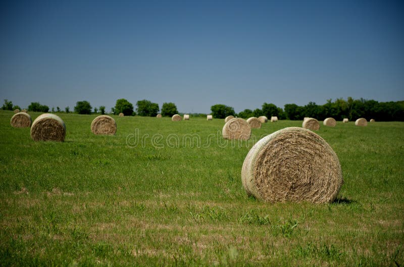 Hay bales in a large field stock image. Image of barbed - 5508799