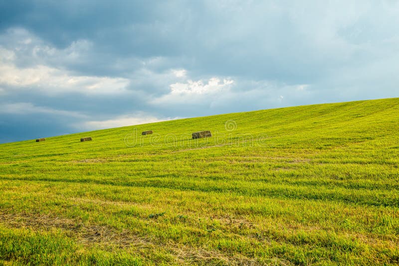 Hay Bales Lay in a Freshly Mowed Field Stock Photo - Image of baling ...