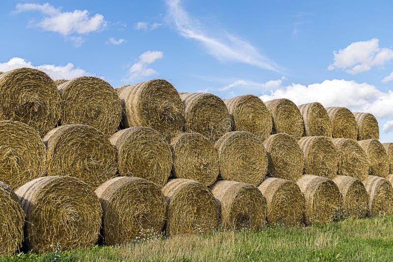 Hay bales stock photo. Image of field, agriculture, bale - 101123070