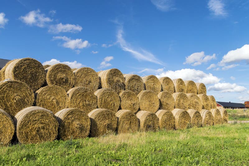 Hay bales stock image. Image of cloud, farm, round, countryside - 101124869