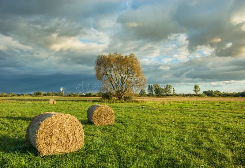 Hay Bales in the Meadow, Large Tree and Colorful Clouds Stock Photo ...