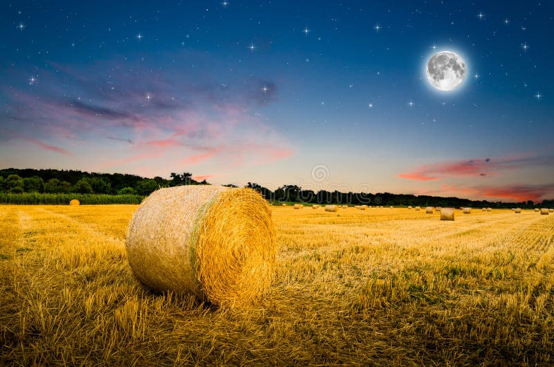 Hay Bales at Night stock image. Image of grain, field - 29031819