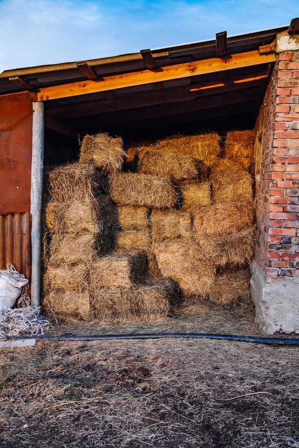 Hay Bales Stacked in Barn in Crimea during Golden Hour Stock Photo ...