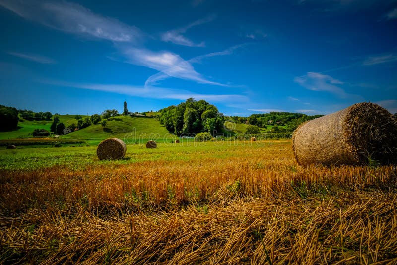 Hay Bales stock image. Image of bales, straw, summer - 156738423