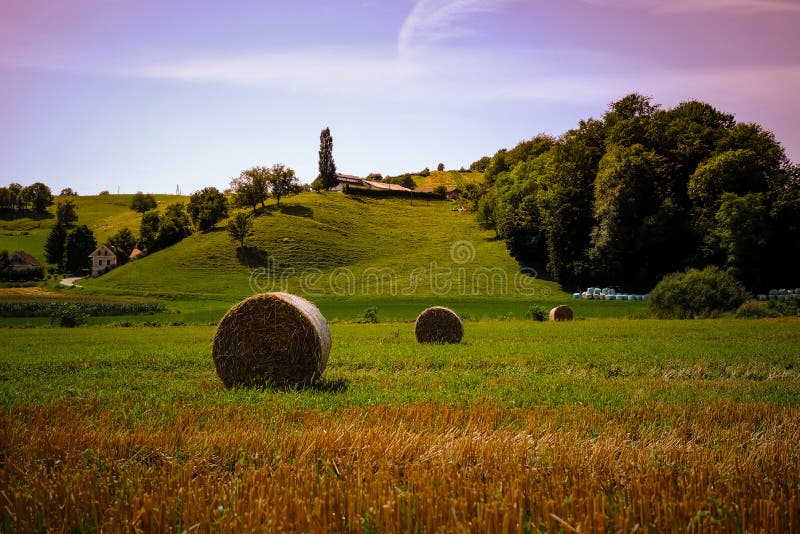 Hay Bales stock image. Image of synonyms, rich, summer - 156738463